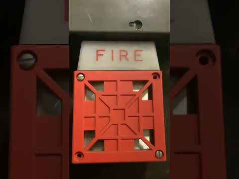 (School Fire drill) simplex pull station and Wheelock 7002T 24 cloquet ...