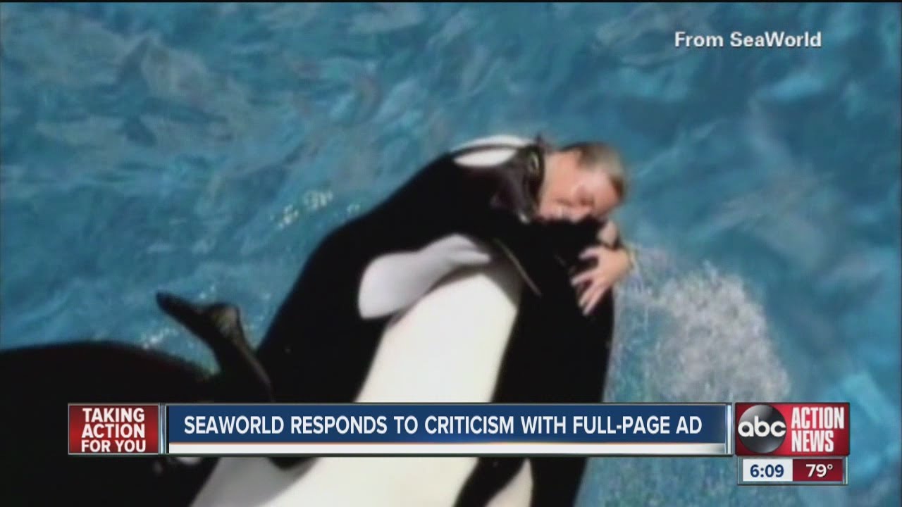 SeaWorld responds to criticism after documentary - YouTube