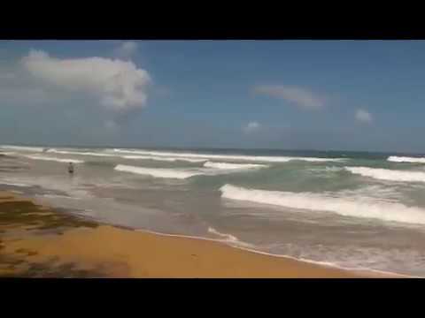 PLAYA PUI PUI - YouTube