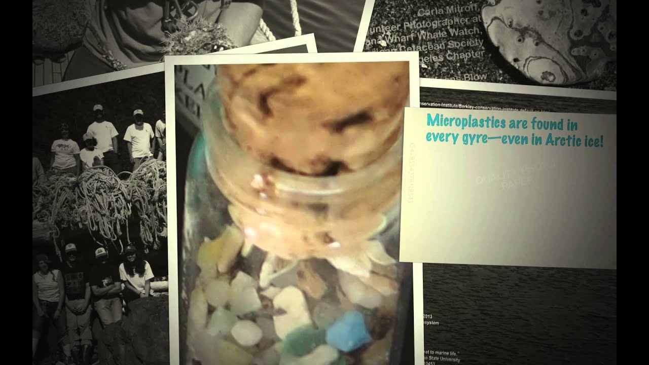 Plastics: Choking the Seas - YouTube