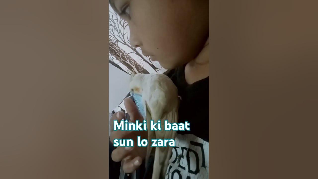 minki ki bast #funny #petlover - YouTube