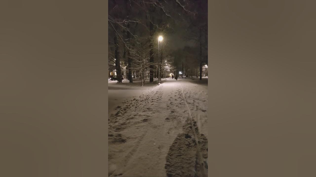 sham-ke-4pm-be-like-raat-ka-10pm-estonia-winter-night-dangerous