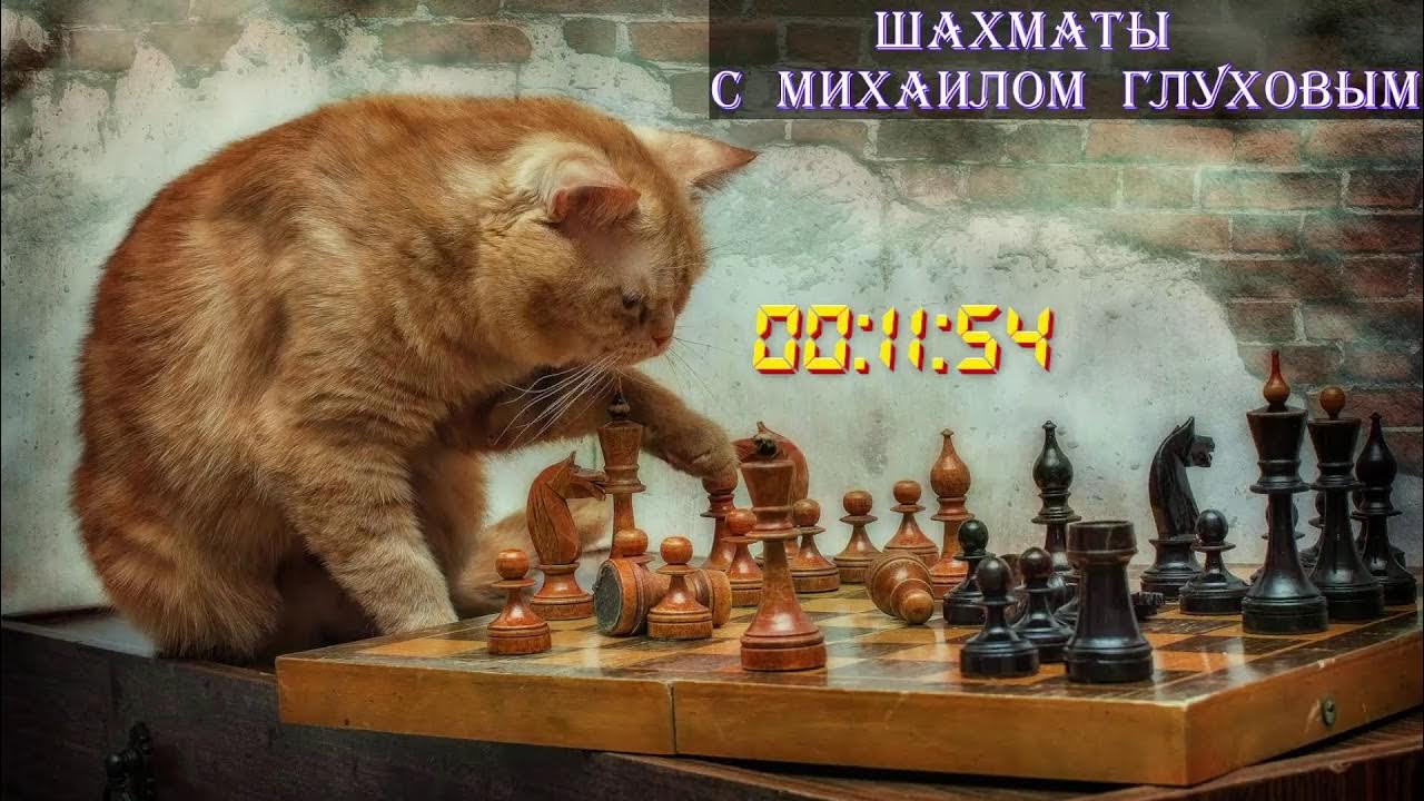 Играем в шахматы с Михаилом Глуховым на личесс 3+2 - YouTube