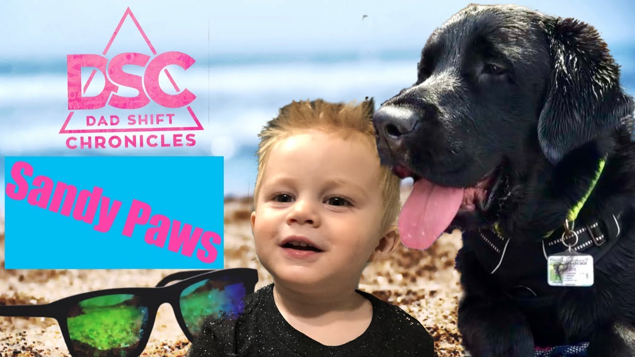 DSC [EP 7]- Sandy Paws - YouTube
