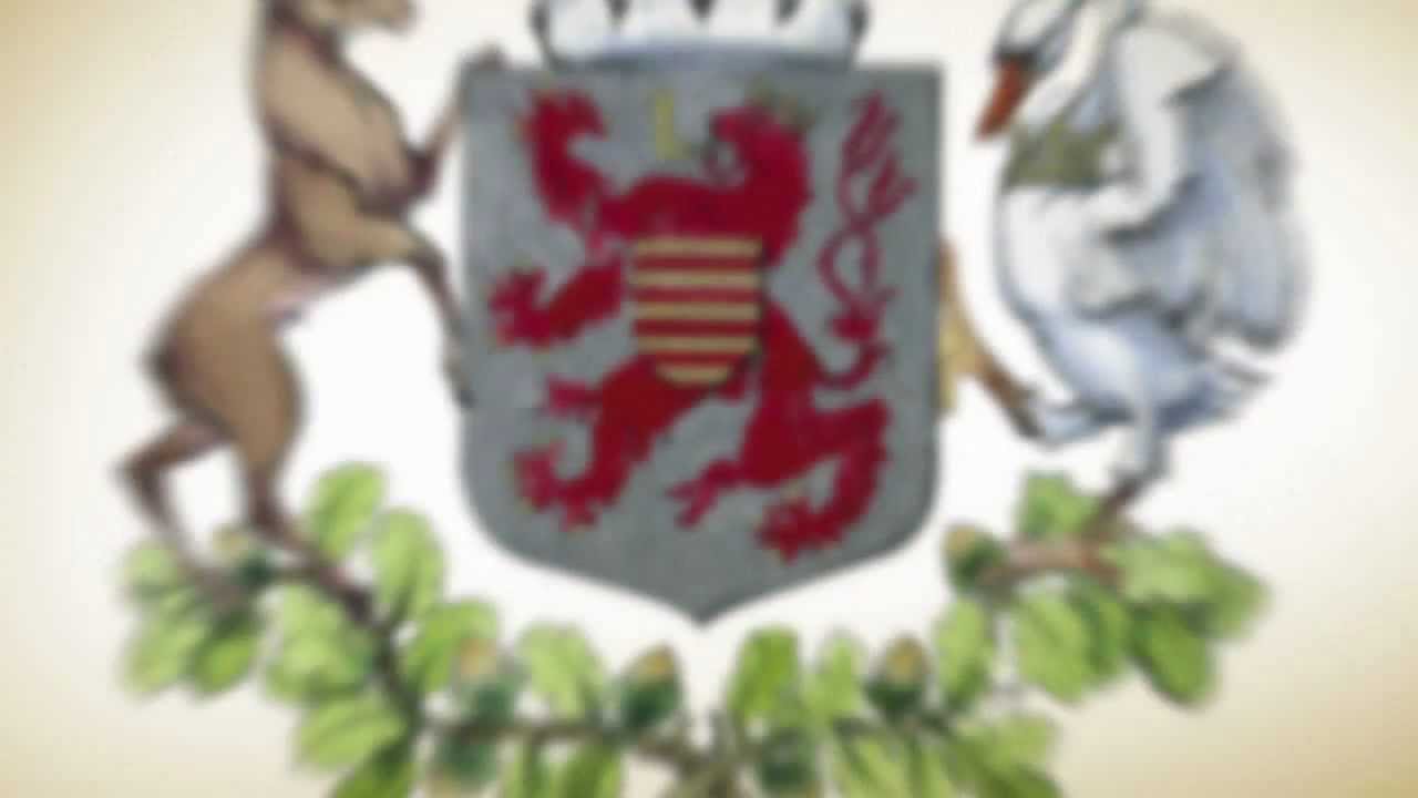 Stem Wijs Stem Nijs 2012 - YouTube