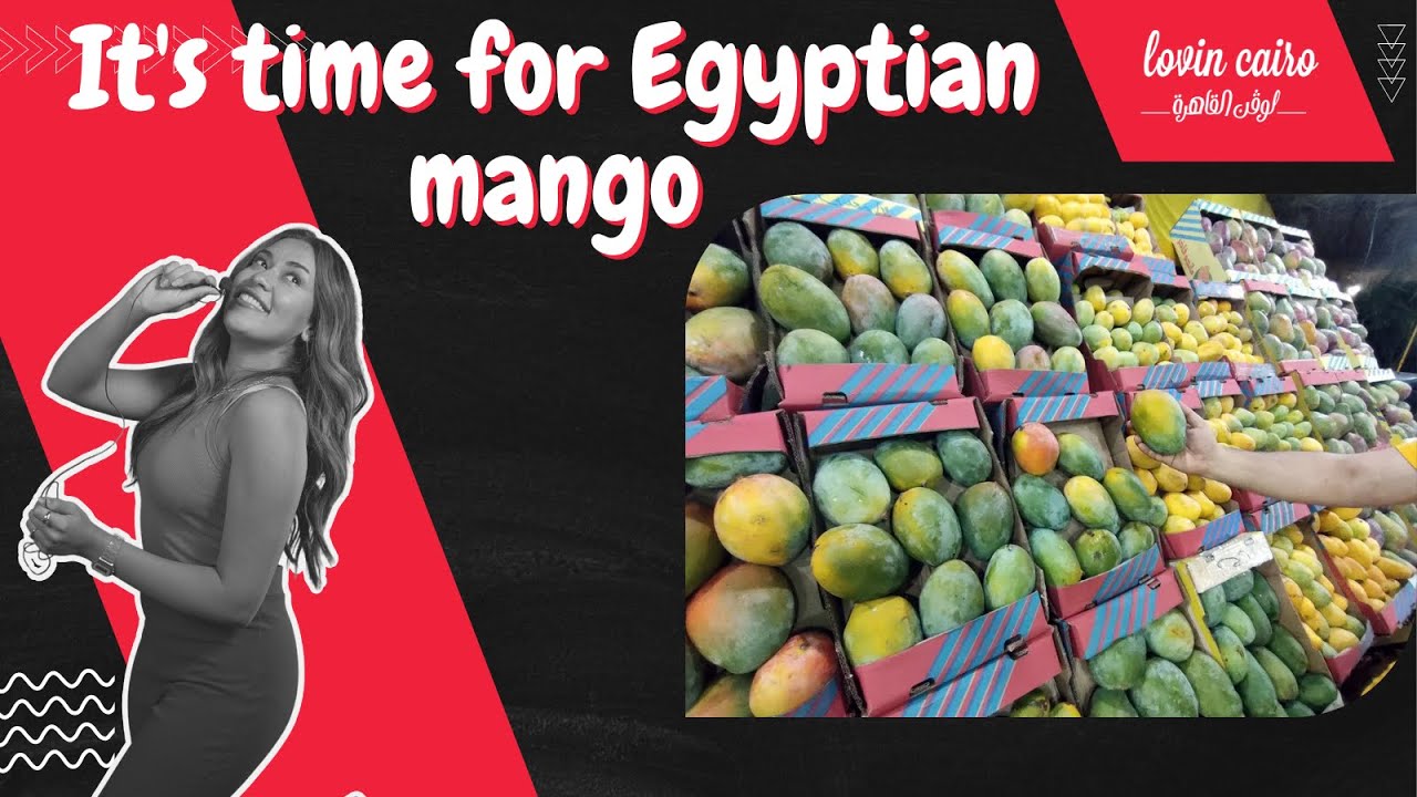it's time for Egyptian mango - YouTube