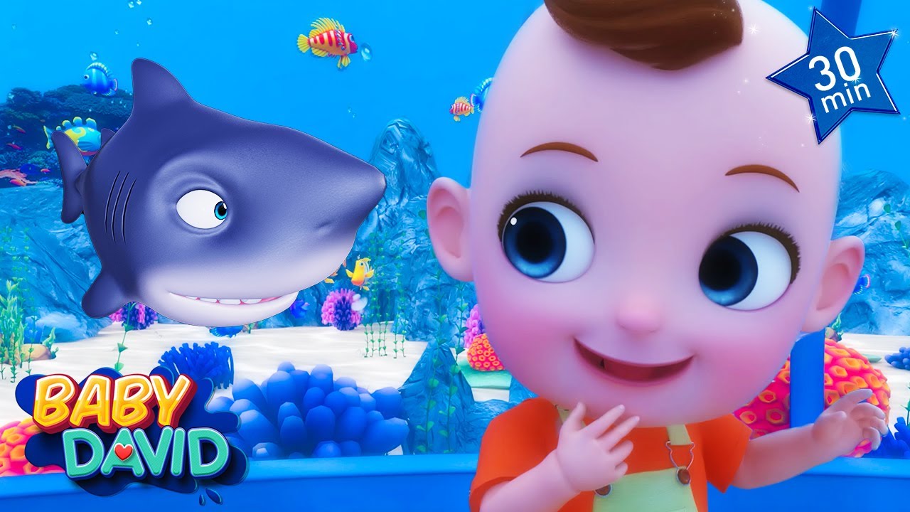 Baby David Visits the Aquarium! + more Nursery Rhymes & Kids Songs ...