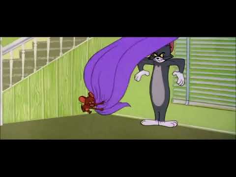 BOO! 🐭😾