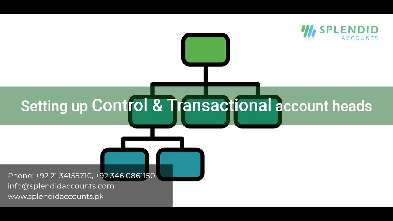 Setting up Control and Transactional account heads in Splendid Accounts ...