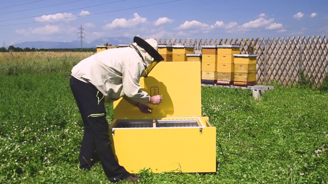 Nový model Varroa Controller VC03 - YouTube