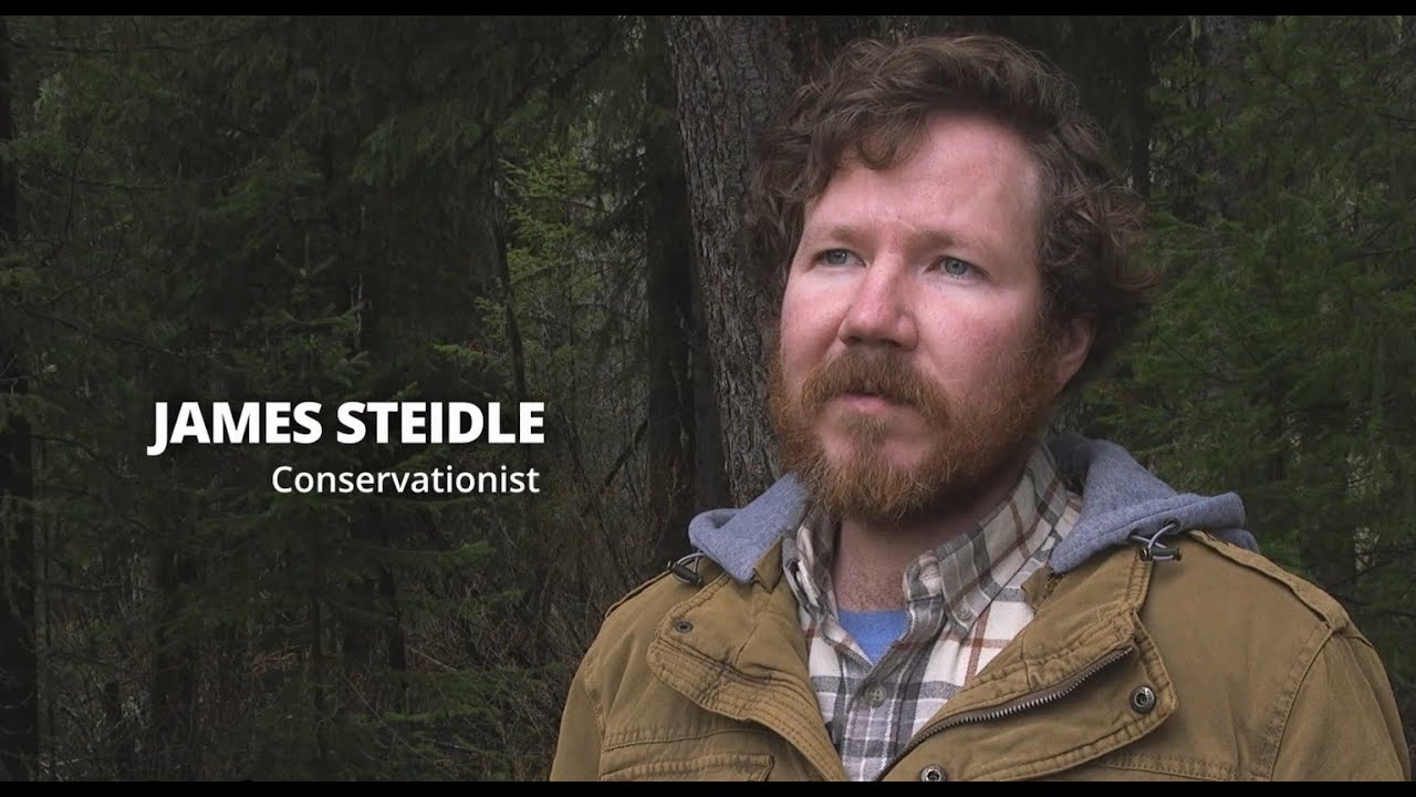 James Steidle –Lifeblood of our Forests - YouTube