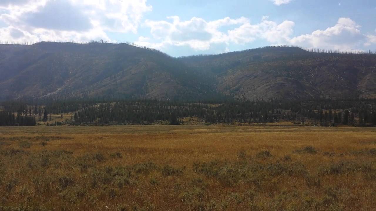 Yellowstone meadow - YouTube