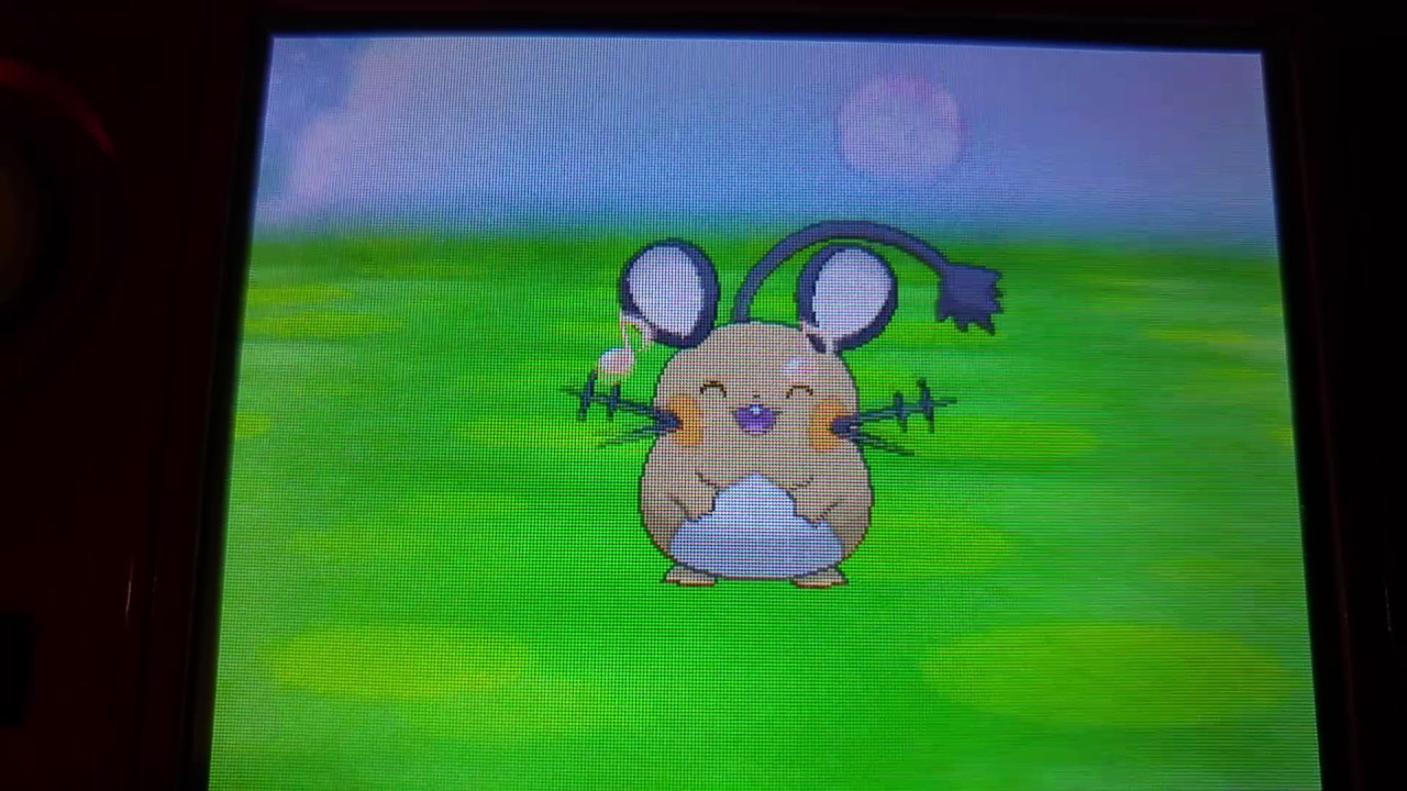 Pokémon Amie: Dedenne + sleeping - YouTube