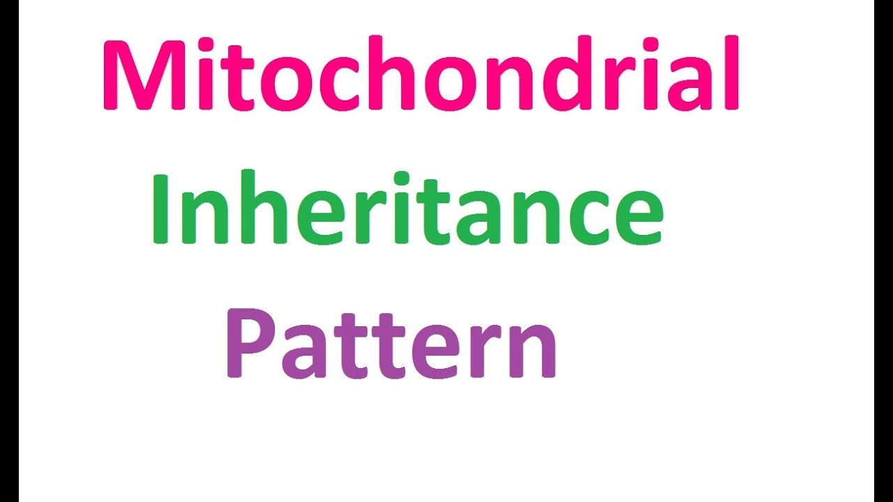 Mitochondrial Inheritance or cytoplasmic Inheritance // Extranuclear ...