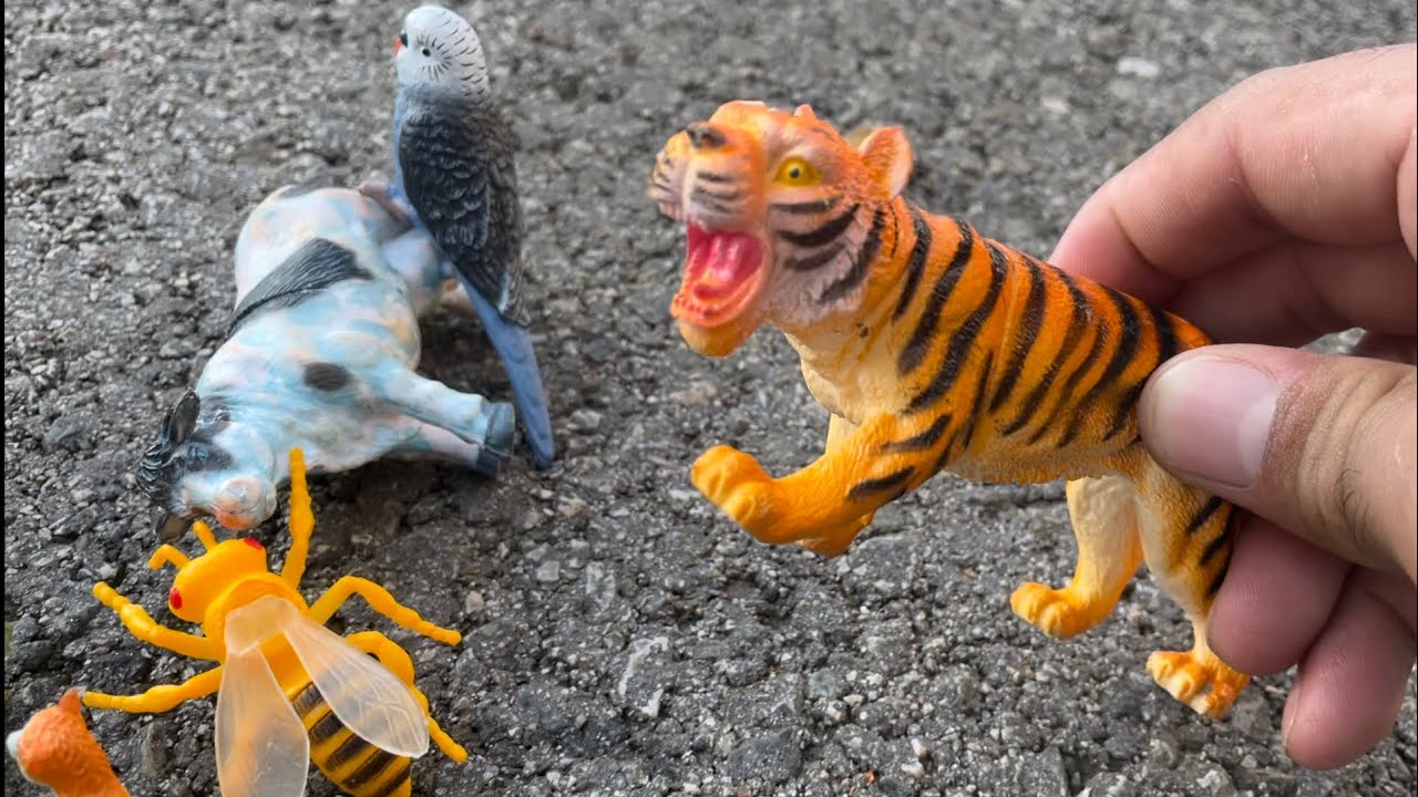 Farm animals collection/collect the zoo animals/ tiger/bee/ cat/cow ...