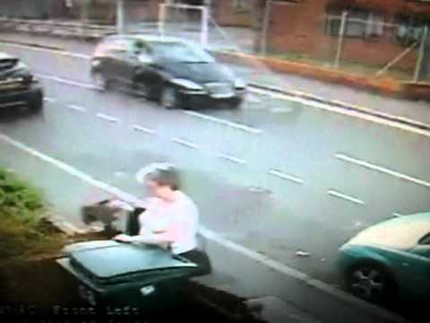 woman throws away cat into trash can, poor kitty - YouTube
