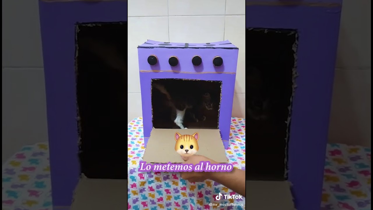 Gato asado - YouTube