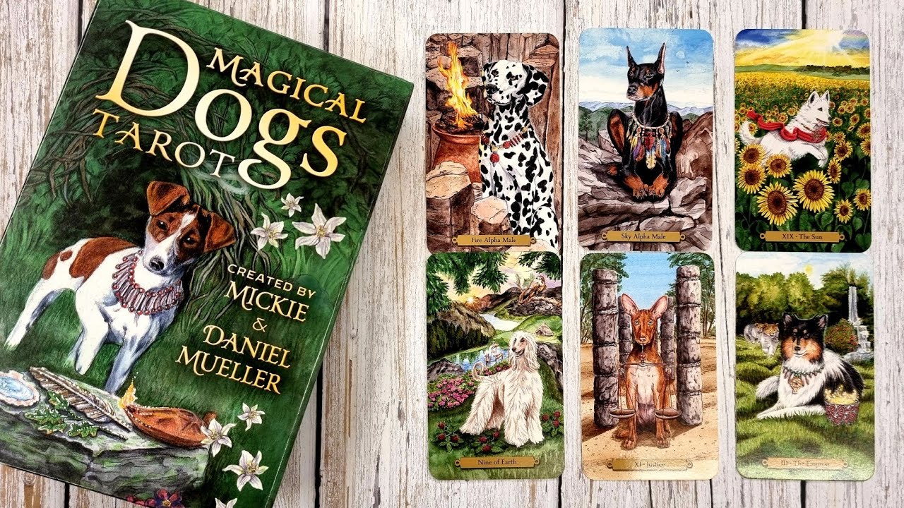 [언박싱] 매지컬 독 🐶 타로 (Magical Dogs Tarot Cards Unboxing and Flip Through ...