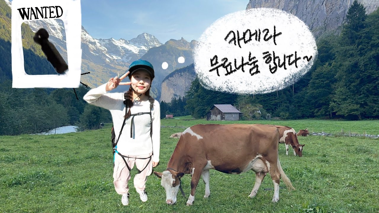 스위스에서 카메라 잃어버리고 패러글라이딩으로 힐링하는 이야기 ~~ 36일 유럽 모녀여행 브이로그 Ep4 스위스 여행