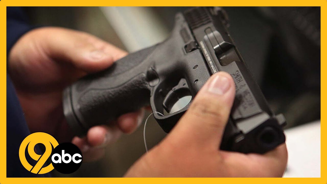 Tennessee bill lowering age requirements for gun permits to 18 still ...