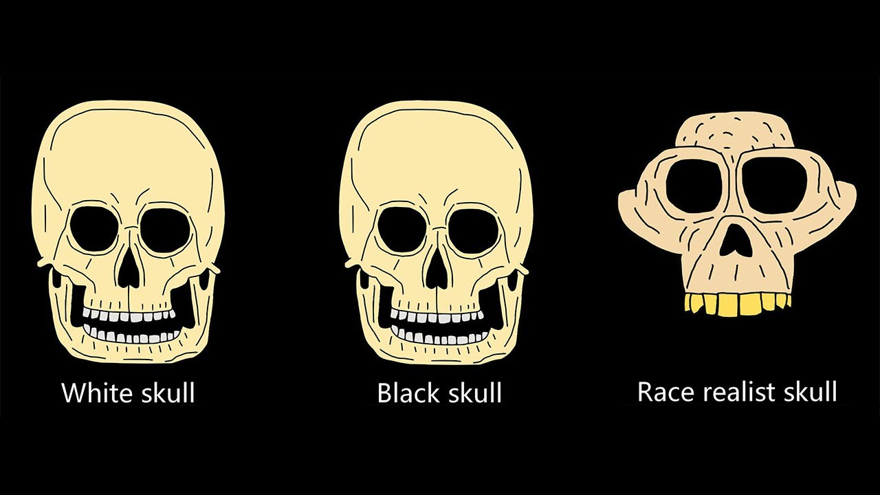 Race Realism - YouTube