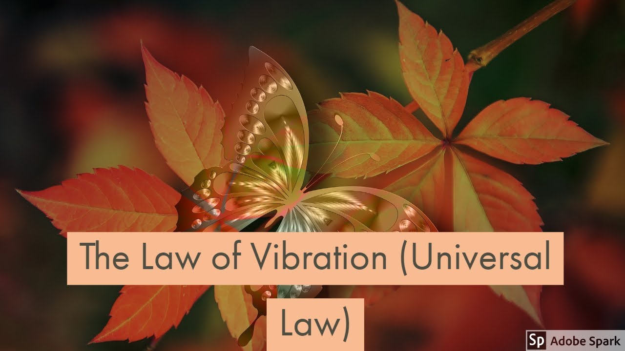 The Law of Vibration (Universal Law) - YouTube