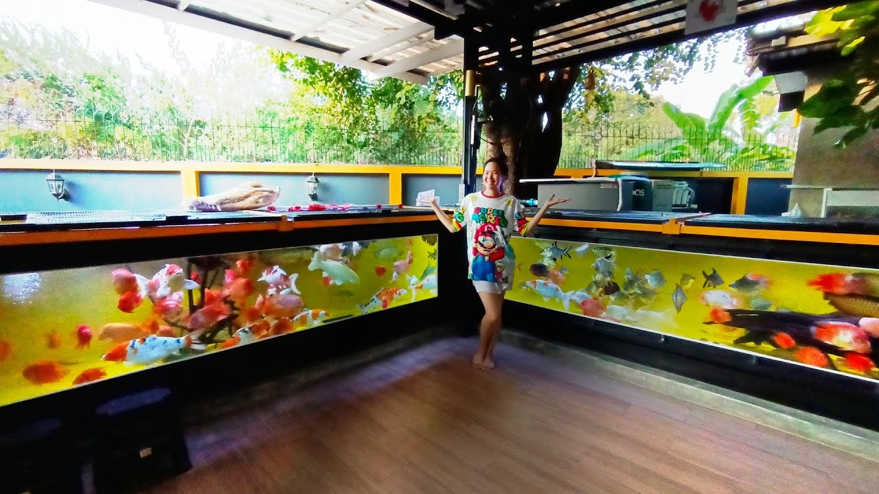 NC. World พระราม 2 - วันนี้มีสมาชิกใหม่เพิ่มเติม อินซีเน็ททรงสั้นสวย กระเบนลูก Hx3 และเต่าหมูบิน ...