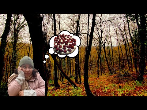 Ormanlı Vlog