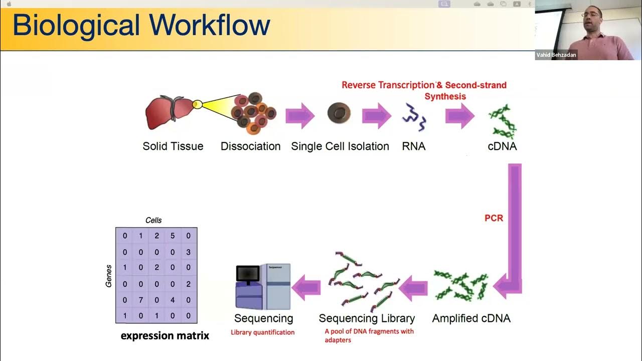 SAIL Seminar: Introduction to Single-Cell RNA Sequencing Data Analysis ...