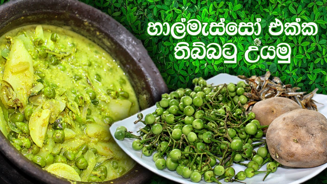 තිබ්බටු හාල්මැස්සන් එක්ක | Thibbatu Halmassan Curry Recipe - YouTube