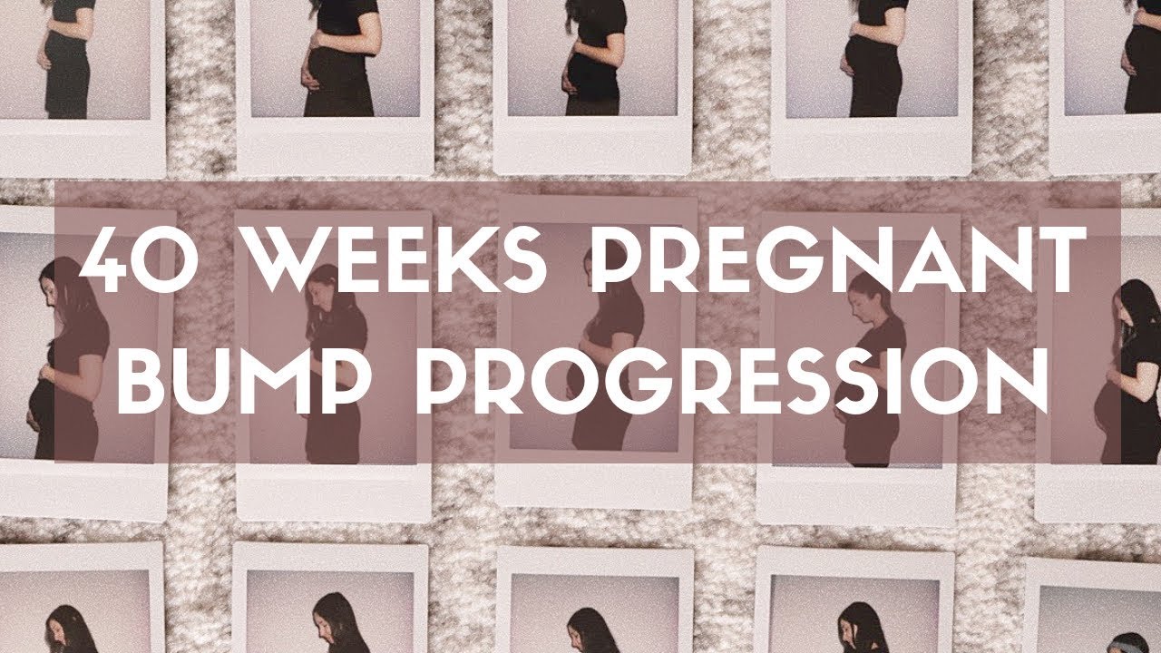 *PREGNANT BUMP TRANSFORMATION! | First Pregnancy -- 8 Weeks To 40 Weeks ...