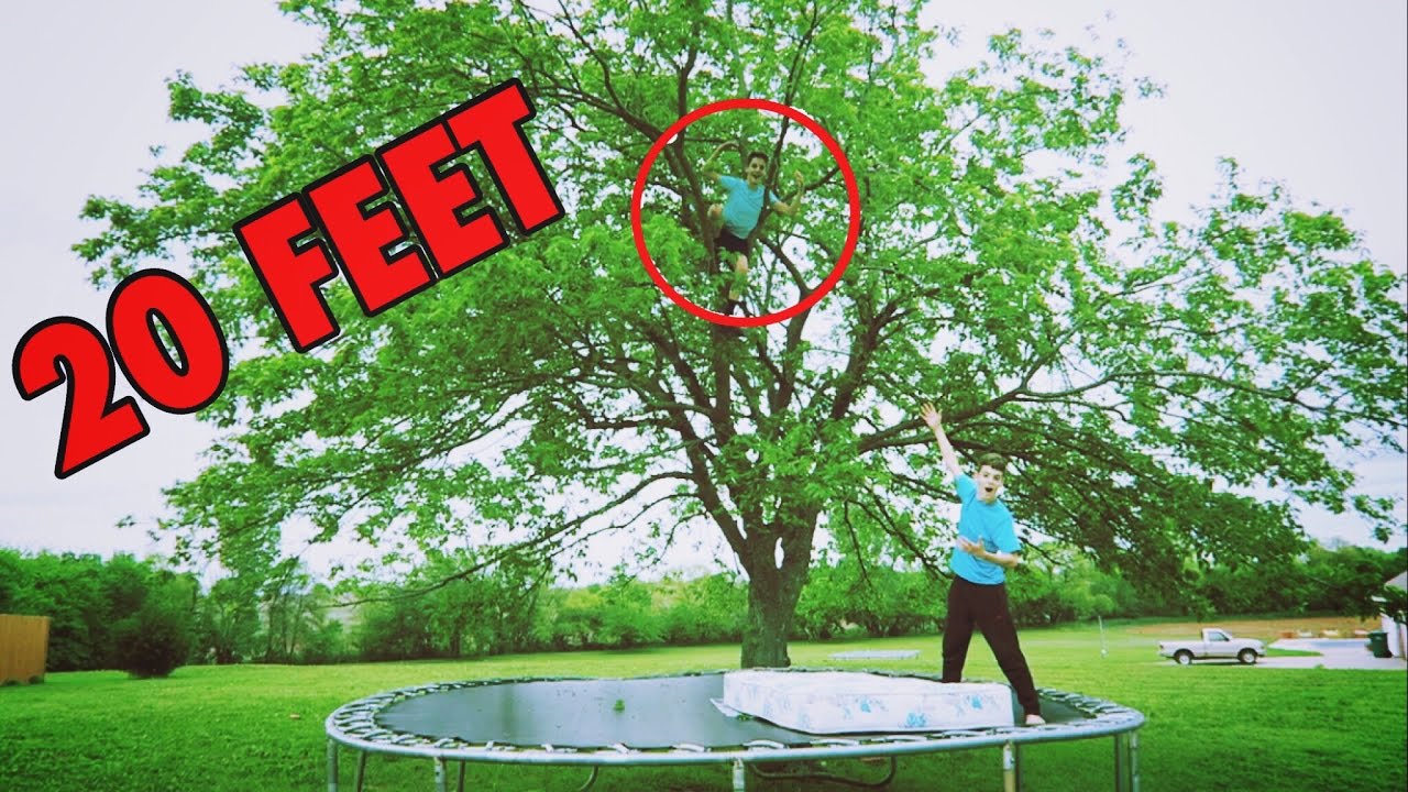 INSANE TREE JUMPING (ONTO A TRAMPOLINE) - YouTube