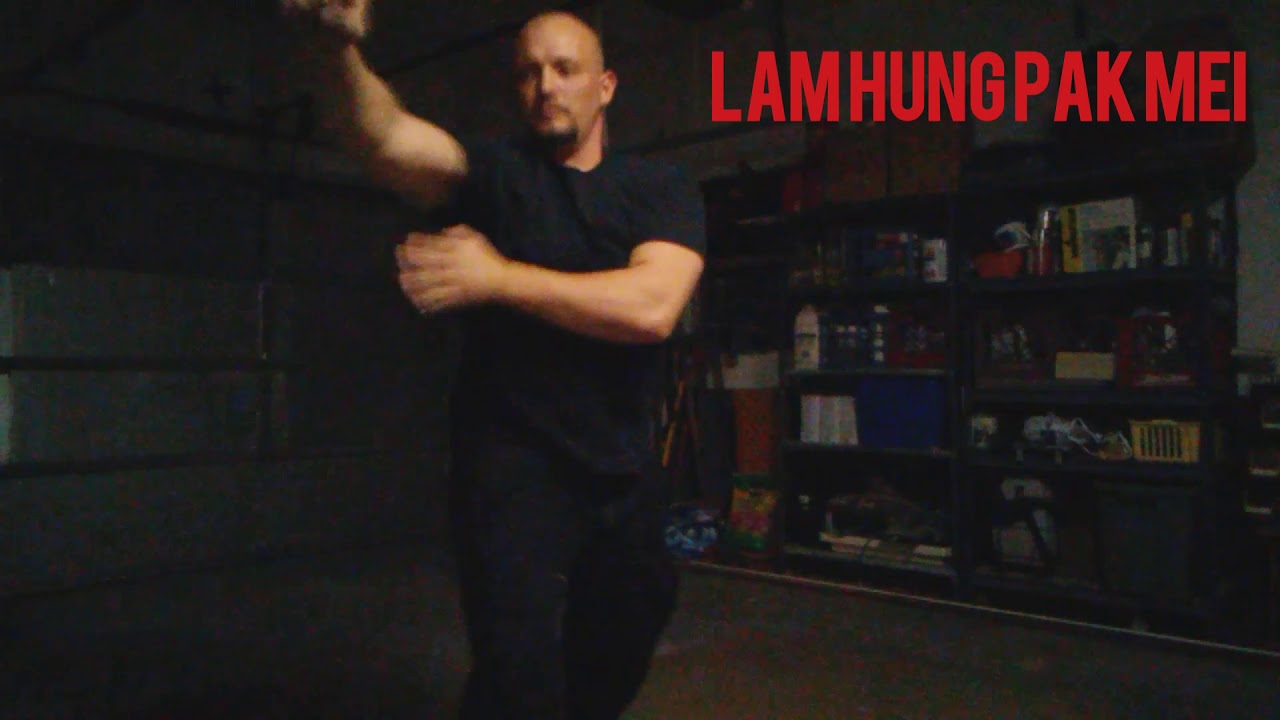 Lam Hung Pak Mei Forms Chinese New Year 2019 - YouTube