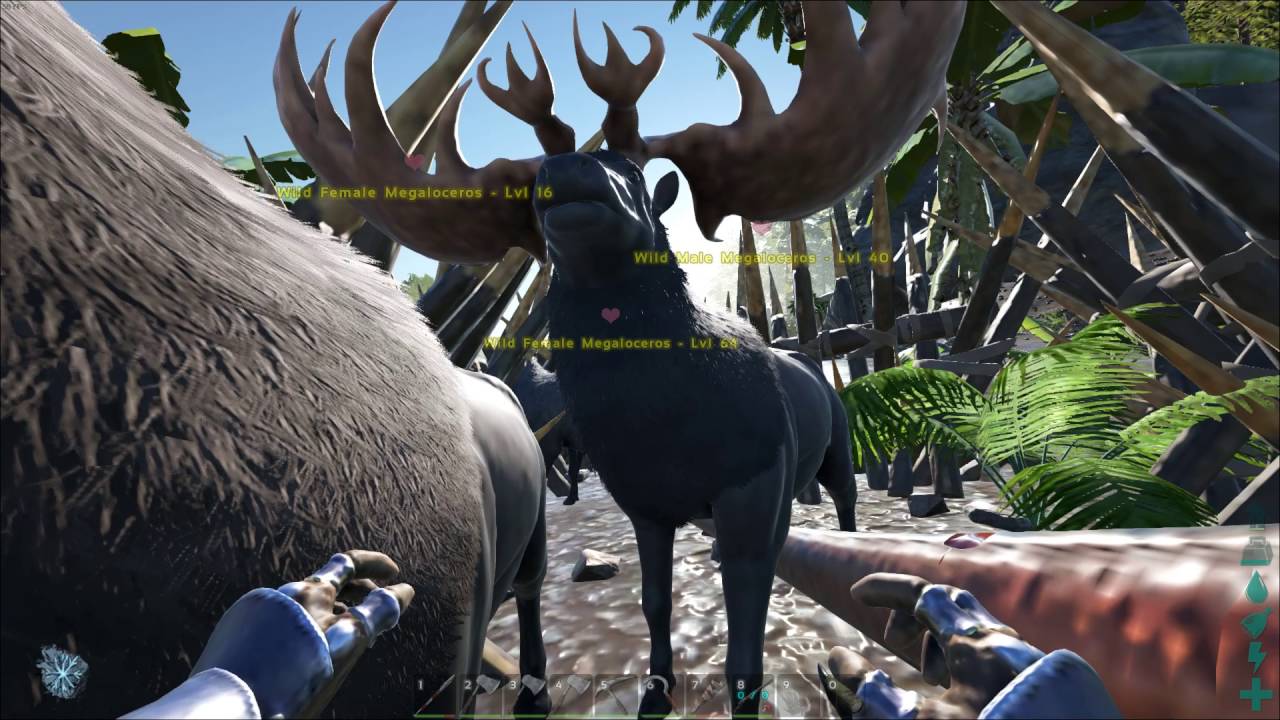 Moose is Freaked Out - Ark - YouTube