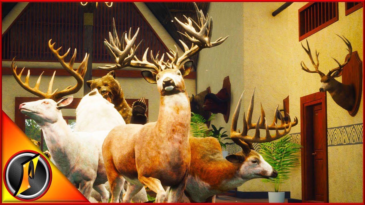 2020 Trophy Lodge Tour! | Almost a Year's Worth of Trophies! - YouTube