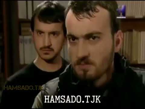 yigit (akif amir) orhan biyikli