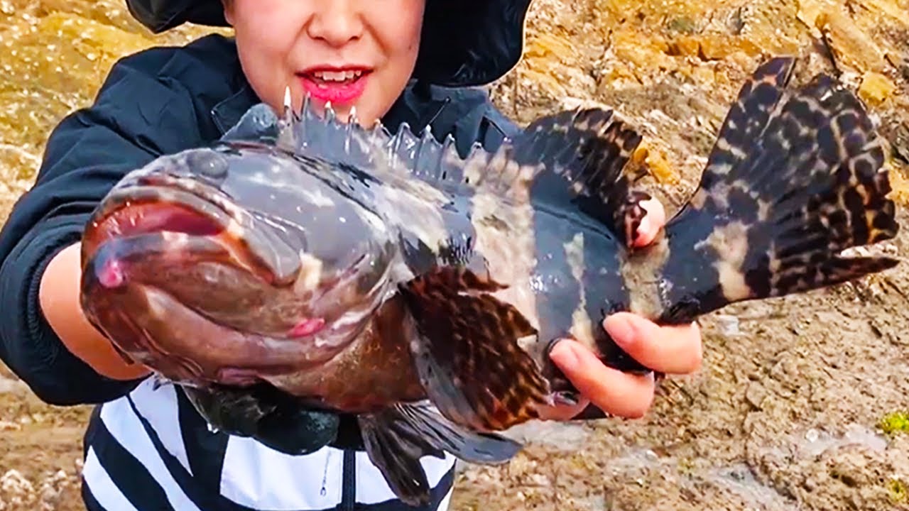 Lots Of Harvest, Grouper, Lobster, Octopus(Catch the sea) - YouTube