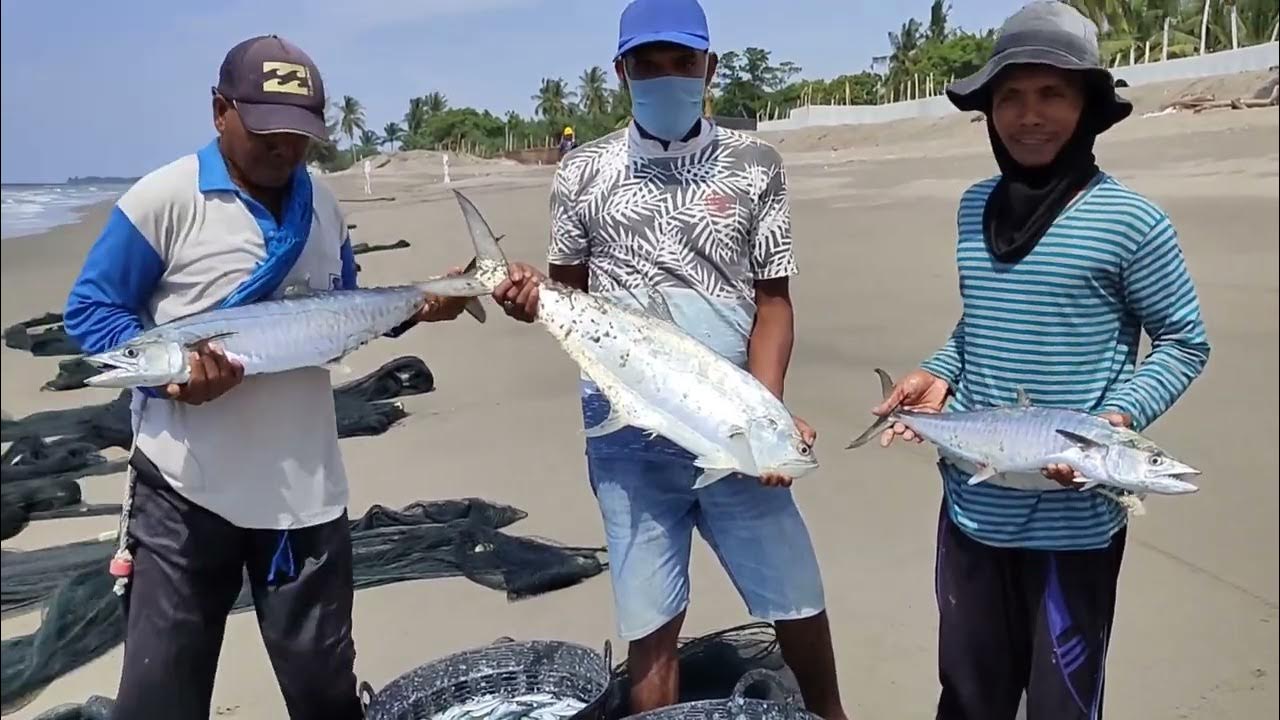 PUKAT TARIK TEPI PANTAI, Bagini Nelayan Indonesia Menangkap Ikan Panen Banyak | Beach Fishing ...