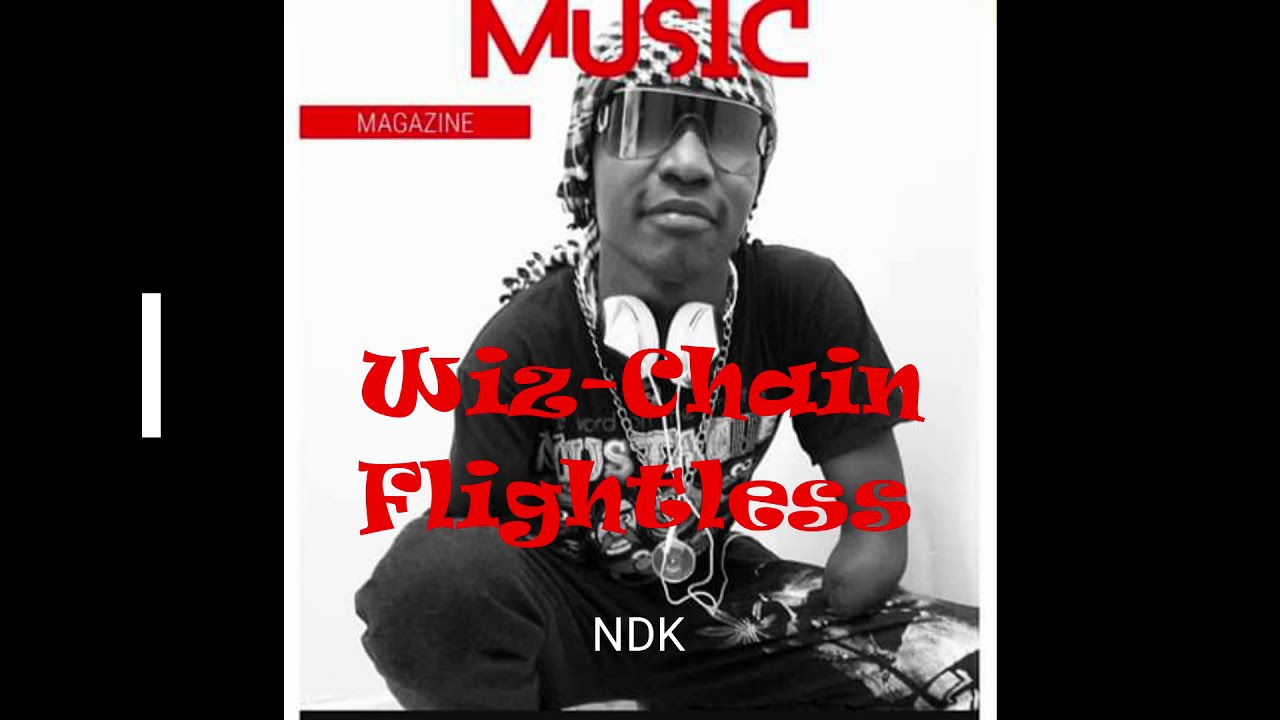 Wiz chain- flightless ( Official Audio) - YouTube