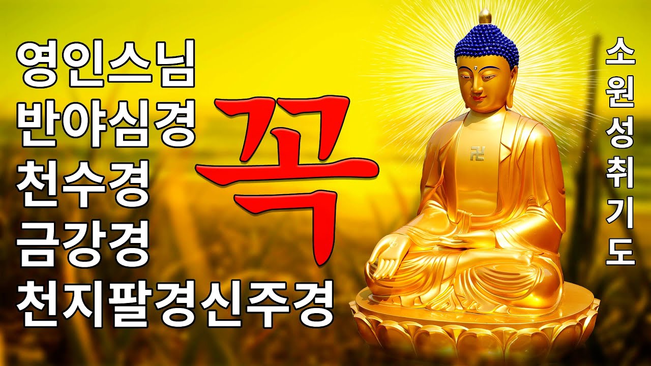 명상은 마음 건강을 회복시켜주며 스트레스와 피로를 줄여 편안함을 가져다줍니다 긍정적인 에너지를 충전하고 삶의 지혜를 되찾을 수