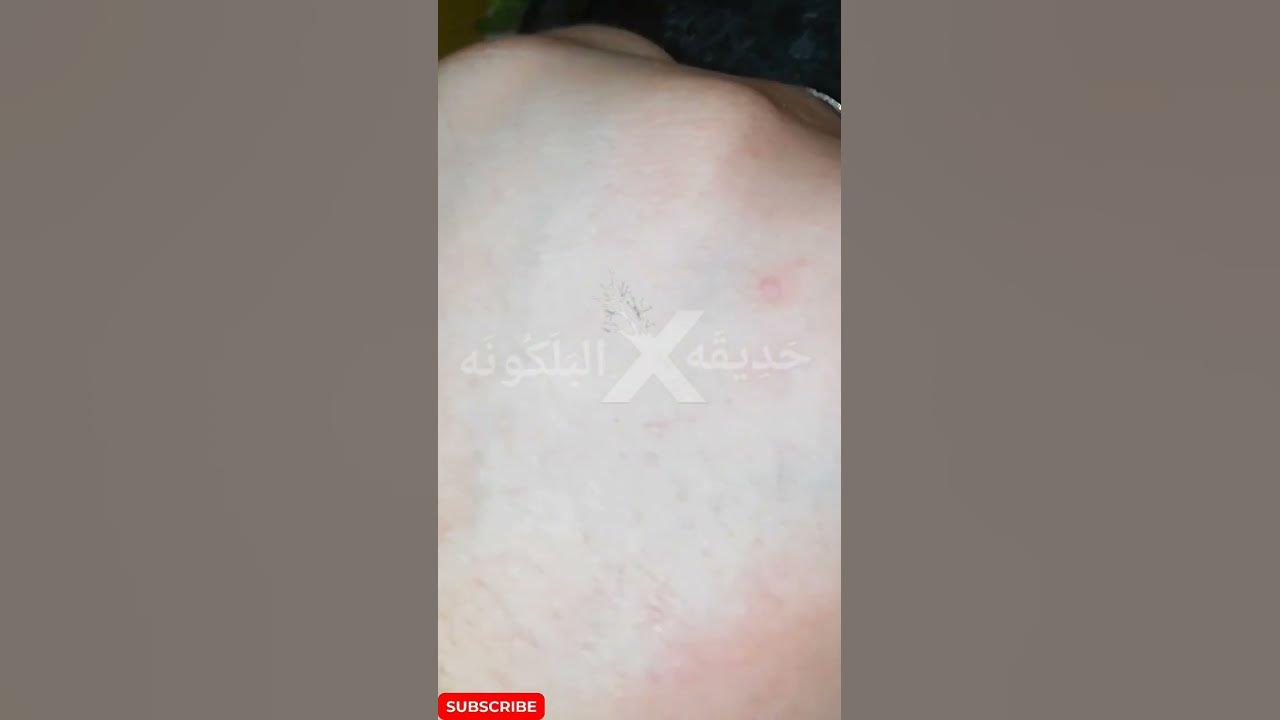 موت النبات بعد شراءه من المشاتل Npk زراعة سماد Youtube