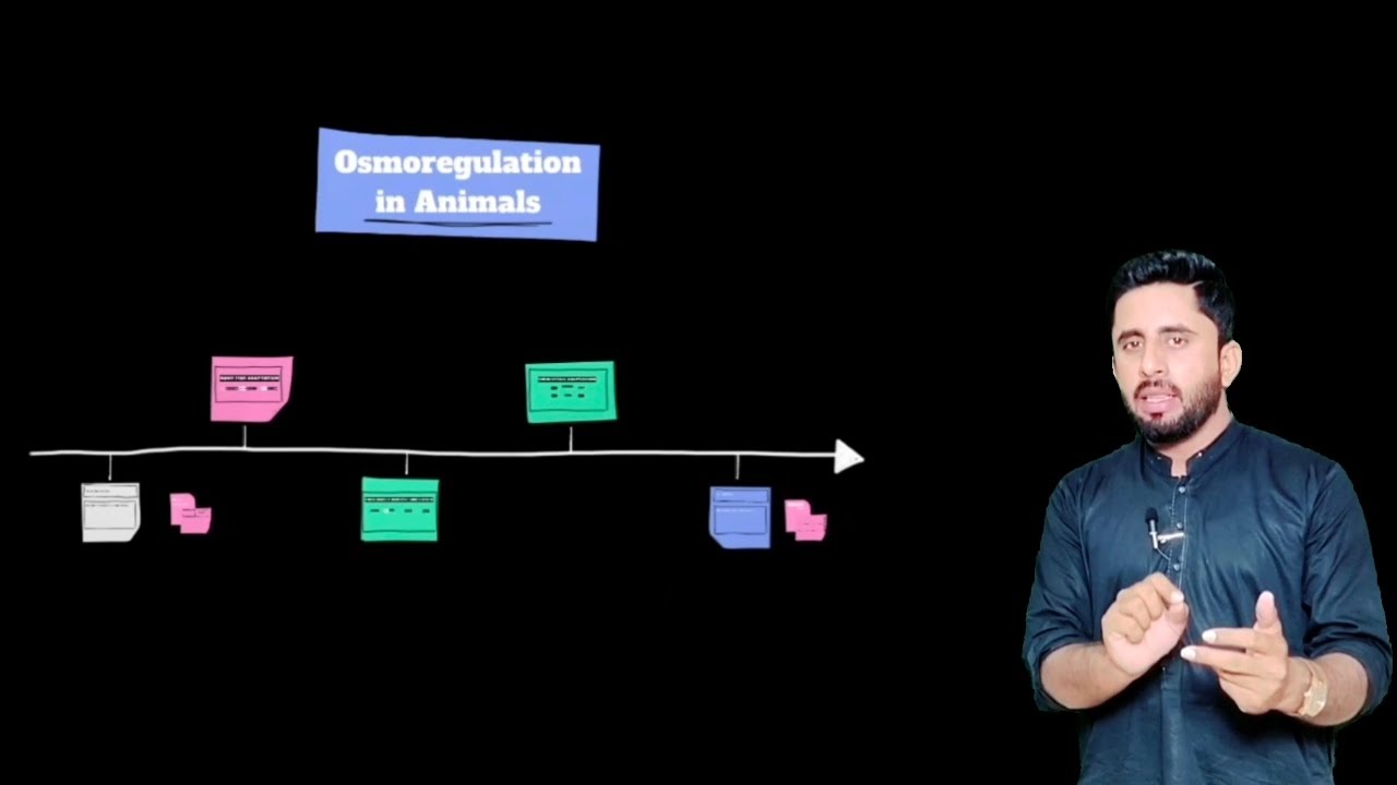 Osmoregulation in Animals in Different Habitats | Marine, Freshwater ...