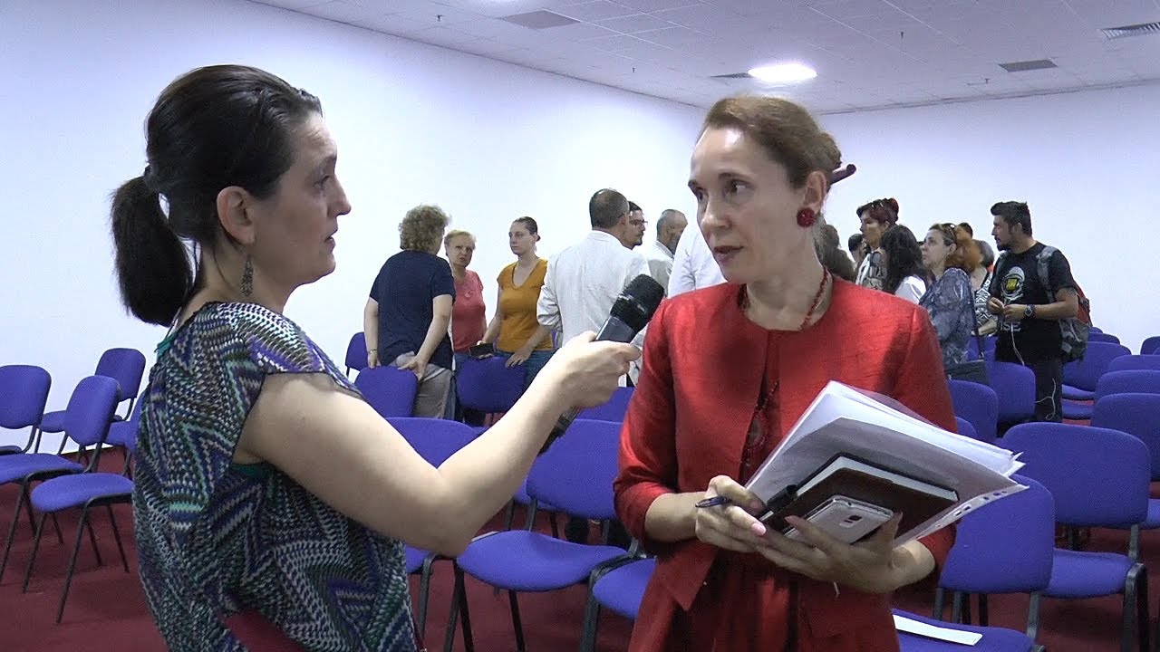 Declarația prof. Marilena Enache - Liceul "Mircea Vulcănescu" (18.07. ...