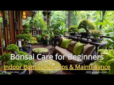 Top 10 Bonsai Tree Decor Ideas for Your Home & Garden in 2025