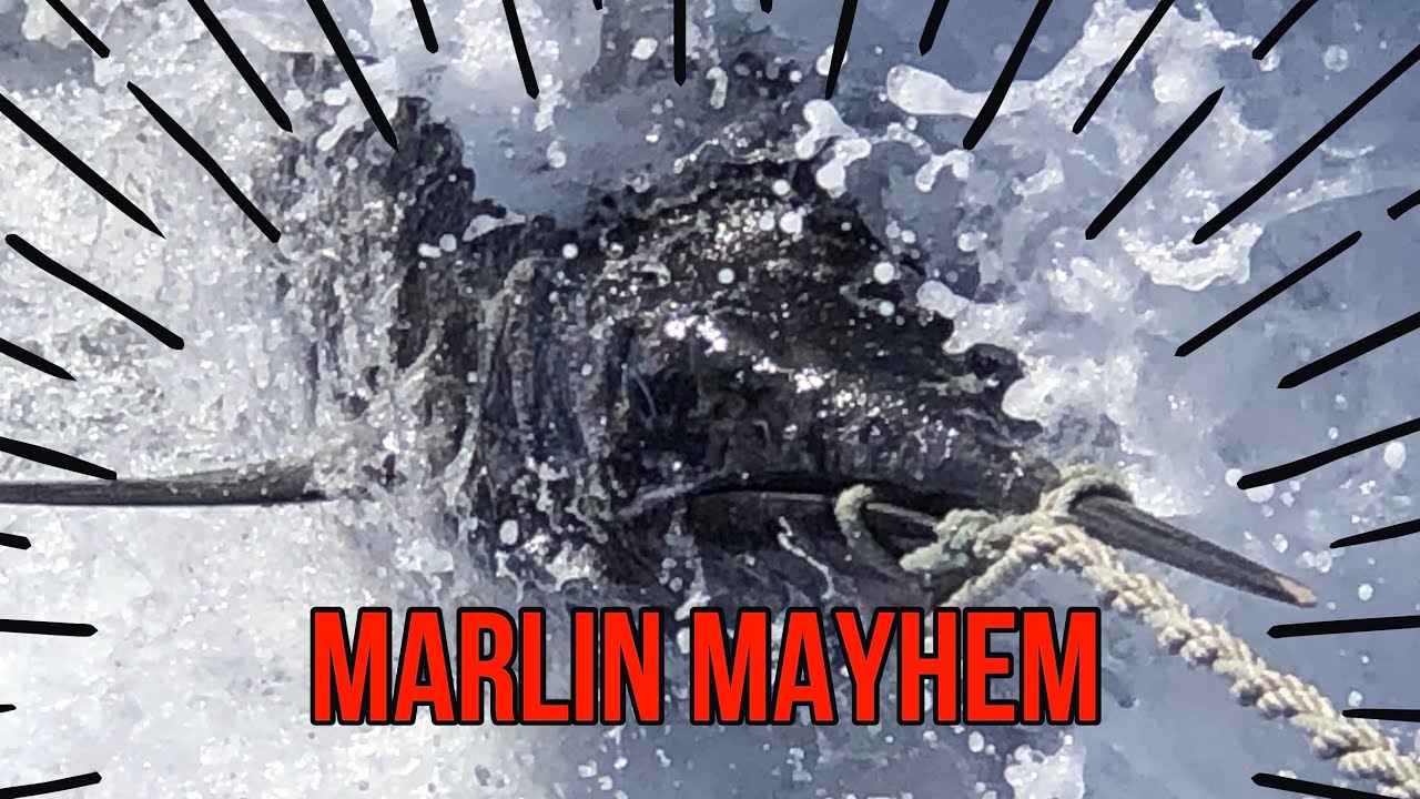 Marlin Mayhem ~ PACE5 ~ May, 2020 Fishing Hawaii - YouTube