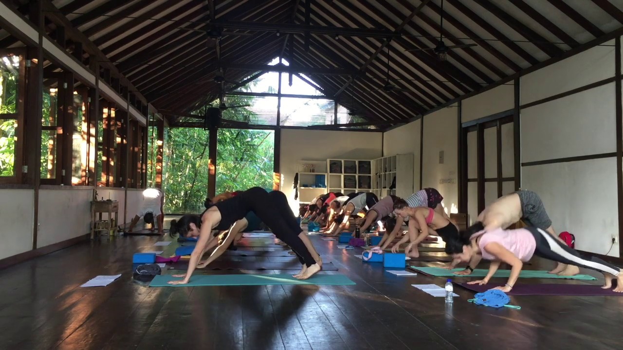 Vinyasa Flow Yoga. Guided Yoga Practice. Intermediate level Vinyasa ...