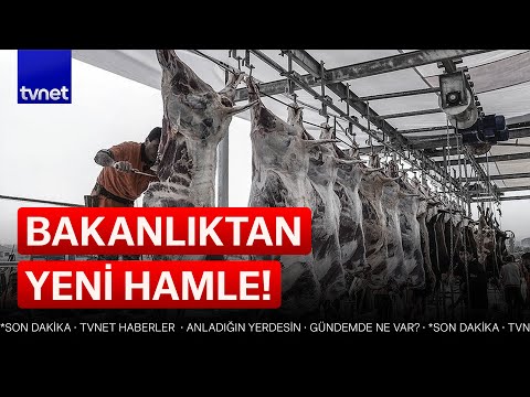 Kesimhanelere kamera zorunluluğu getiriliyor!