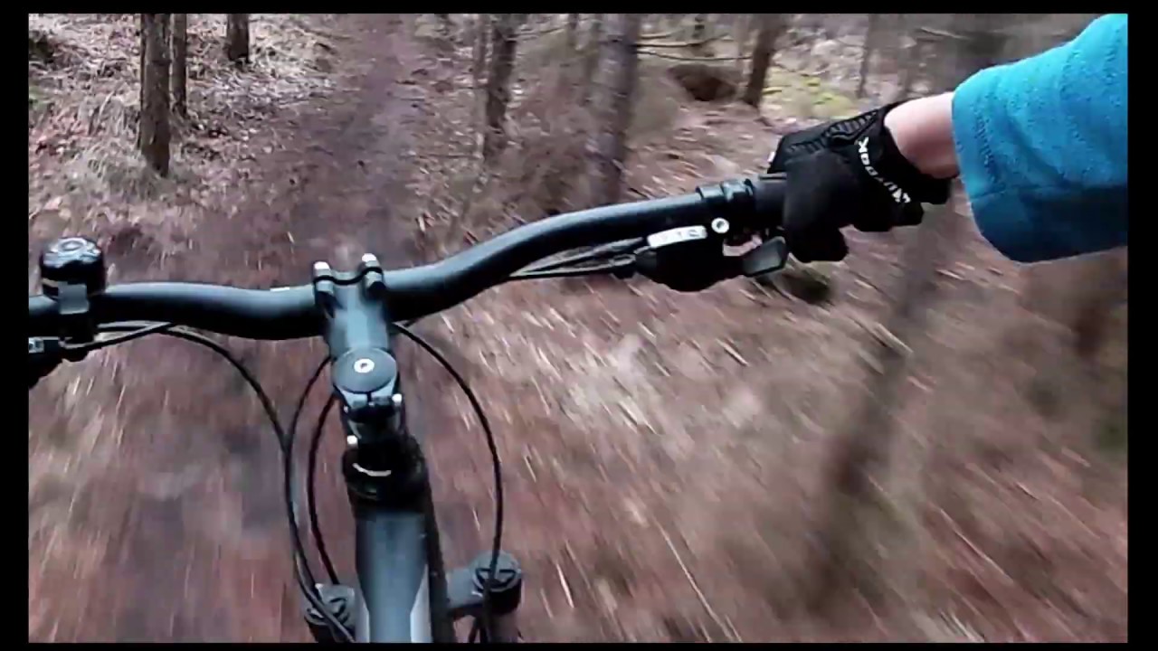 Wareham Forest Mountain Biking Tree Tunnel Trail MTB POV - YouTube