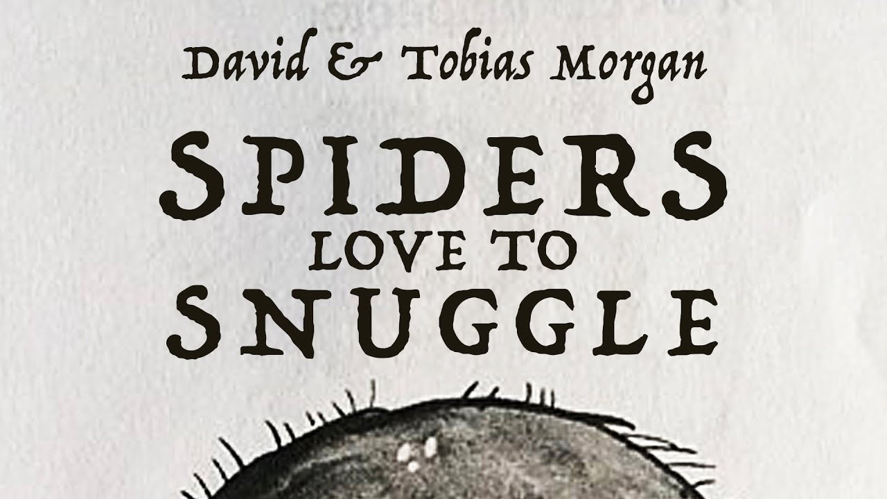 Spiders Love To Snuggle - YouTube