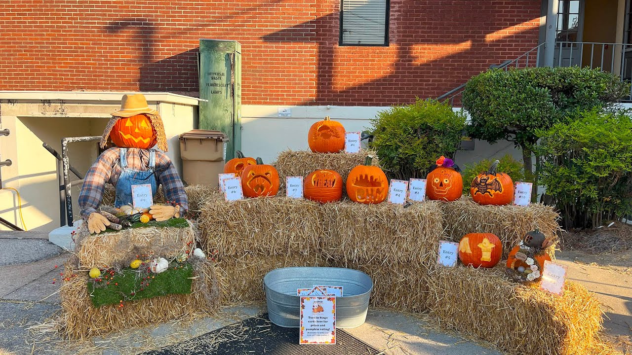 2024 Fall Festival Employee Appreciation Event - YouTube